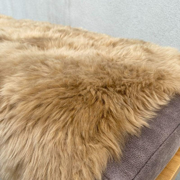 Honey Sheepskin Rug - Bolt of Cloth