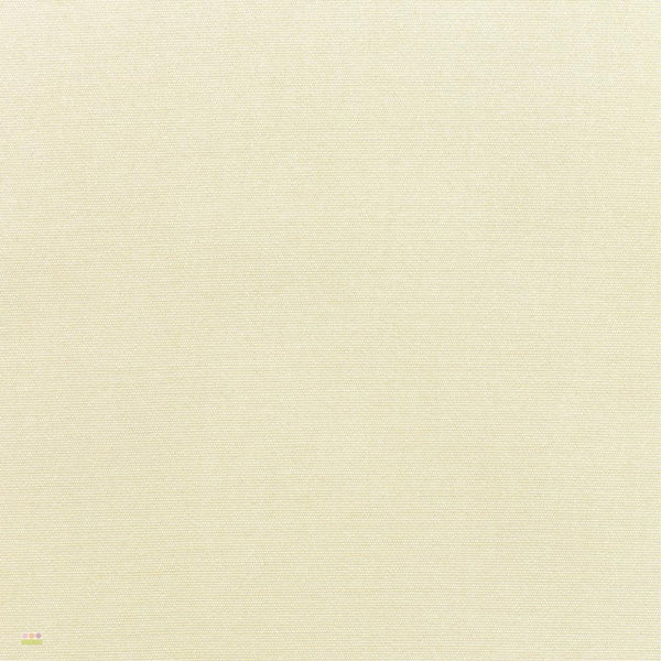 Outdoor Canvas in Canvas - Bolt of Cloth